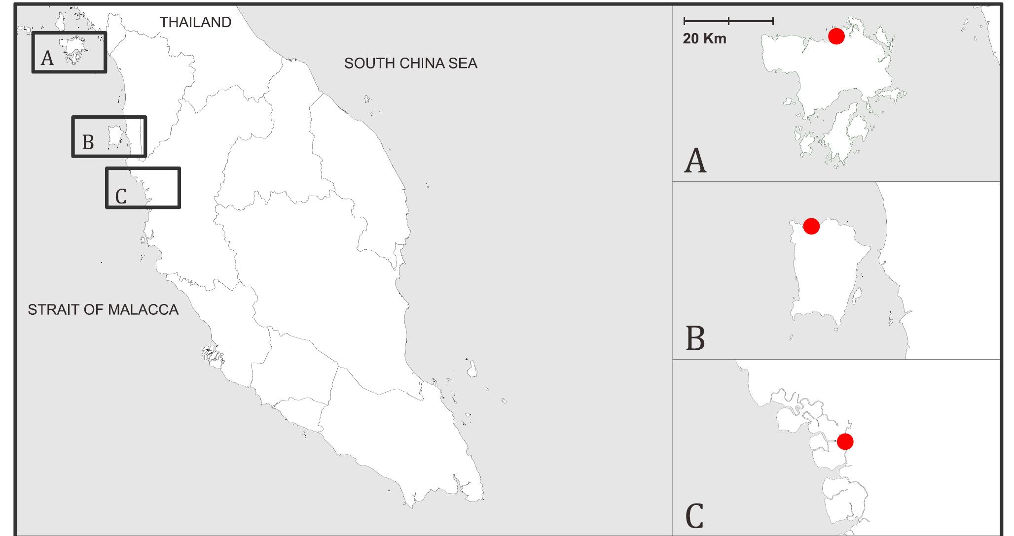 Figure 1 - from A Checklist of Free-Living Marine Nematodes