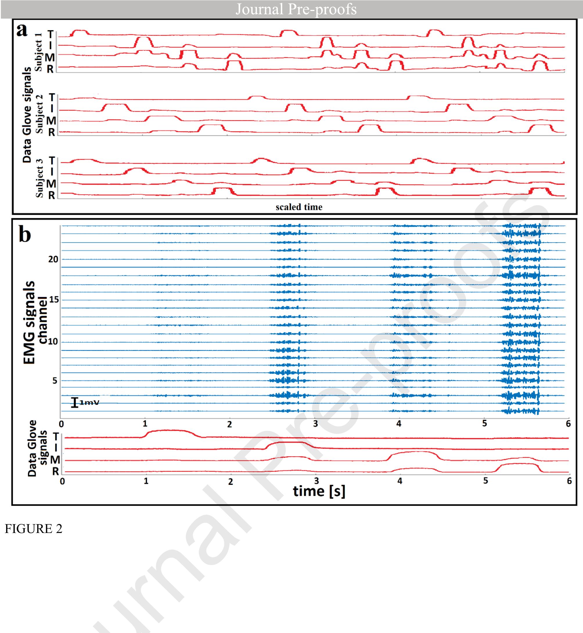 Figure 3 - EMG Map Image Processing for Recognition of