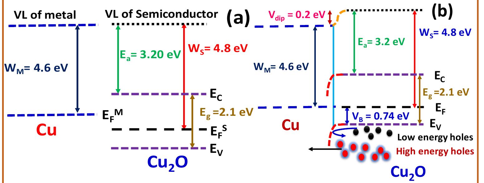 (a) modified band diagram of cuzo and cu before contact and