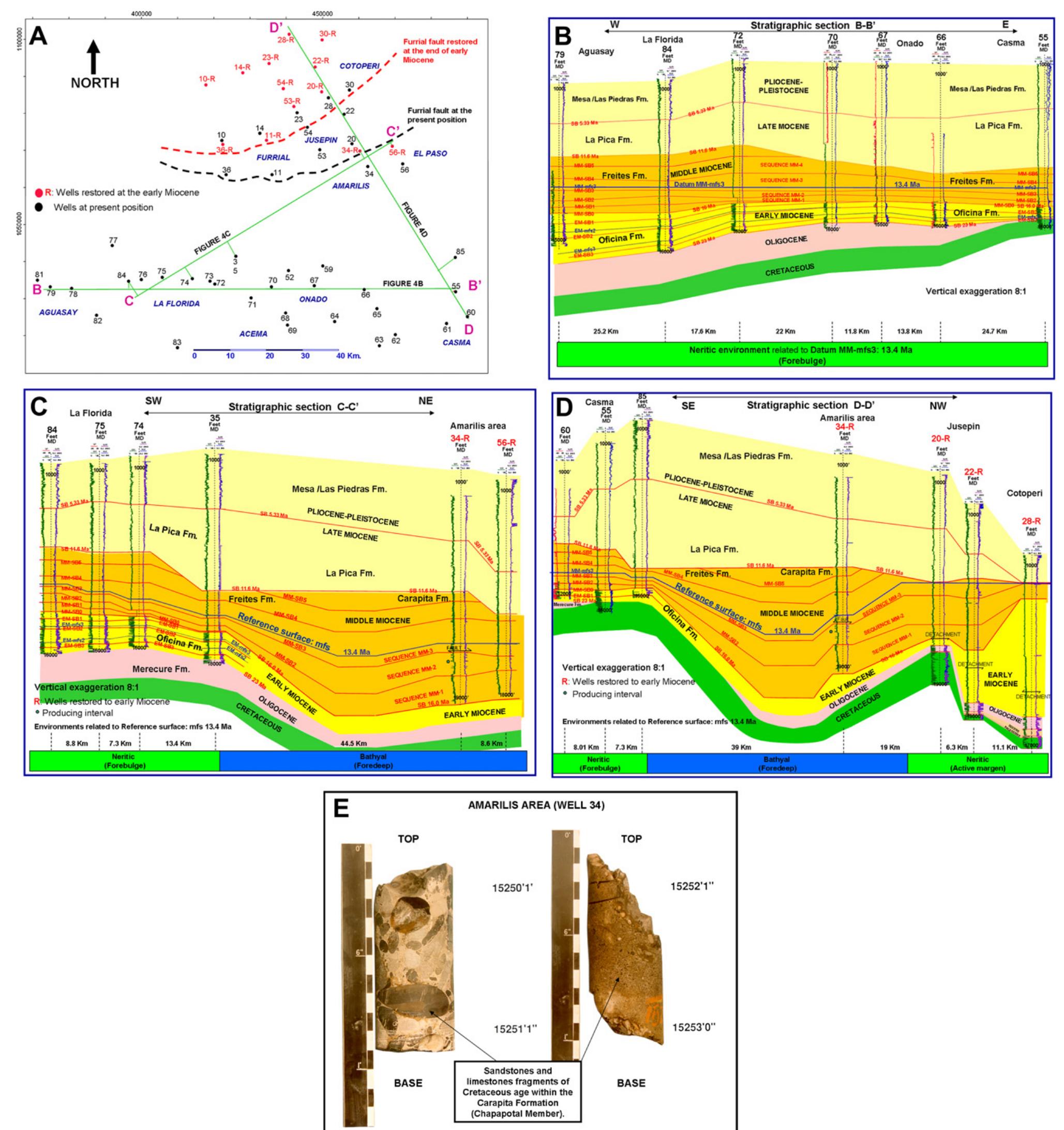 Stratigraphic sections that show the correlation of the key