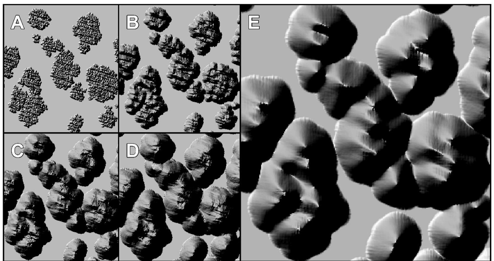 Comparison of analysis window sizes on focal point sum