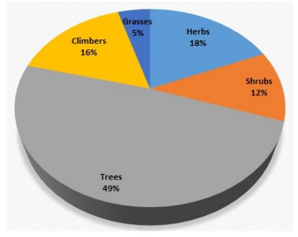Pie chart showing categories of ntfp species on the basis of