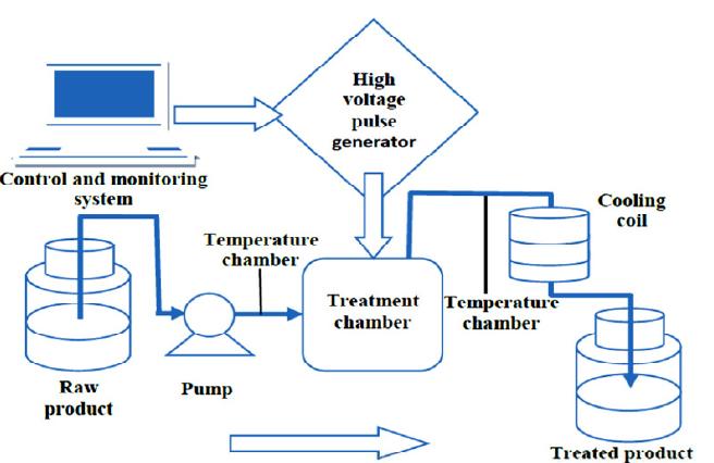 Flow chart of a pef food processing system with basic