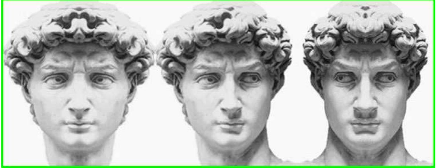 Middle panel; frontal view of david's face. left panel: