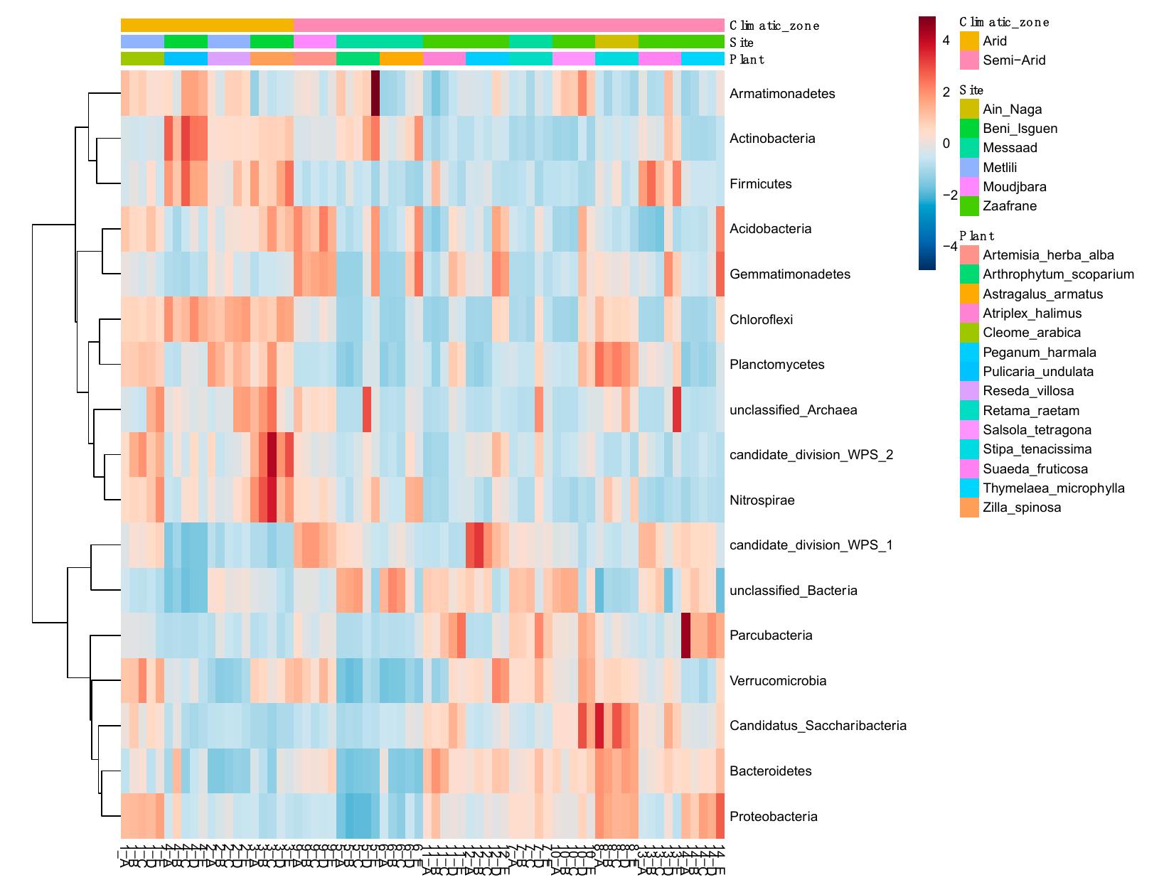 Heatmap at phylum level. clustering result shown as heatmap