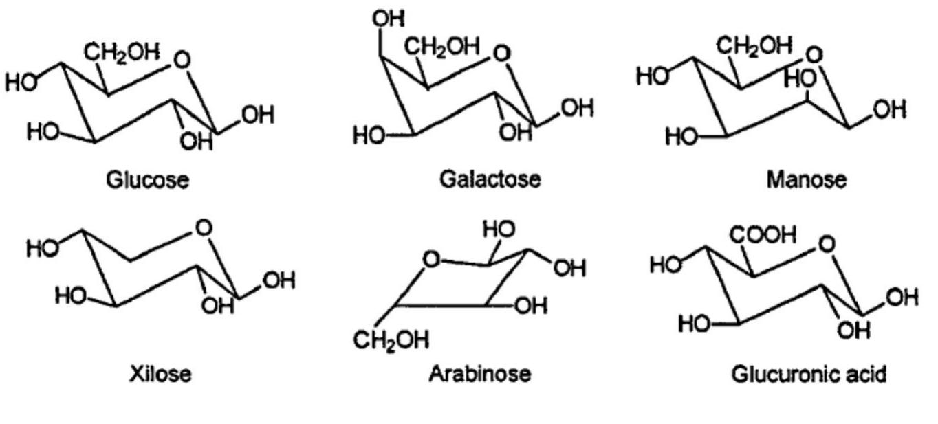 Structure. components of hemicellulose are shown in figure