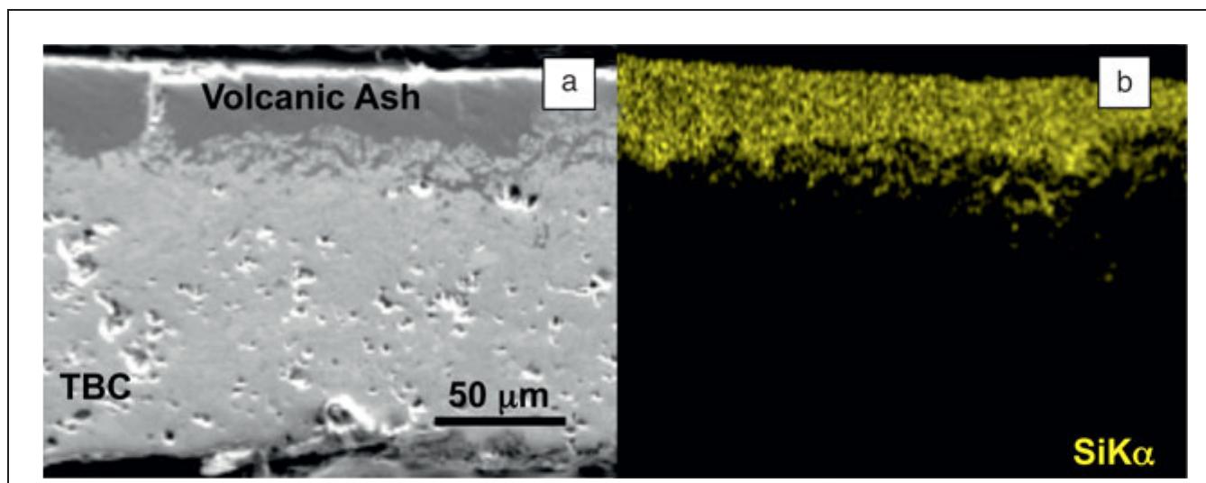 (a) cross-sectional scanning electron microscopy micrograph