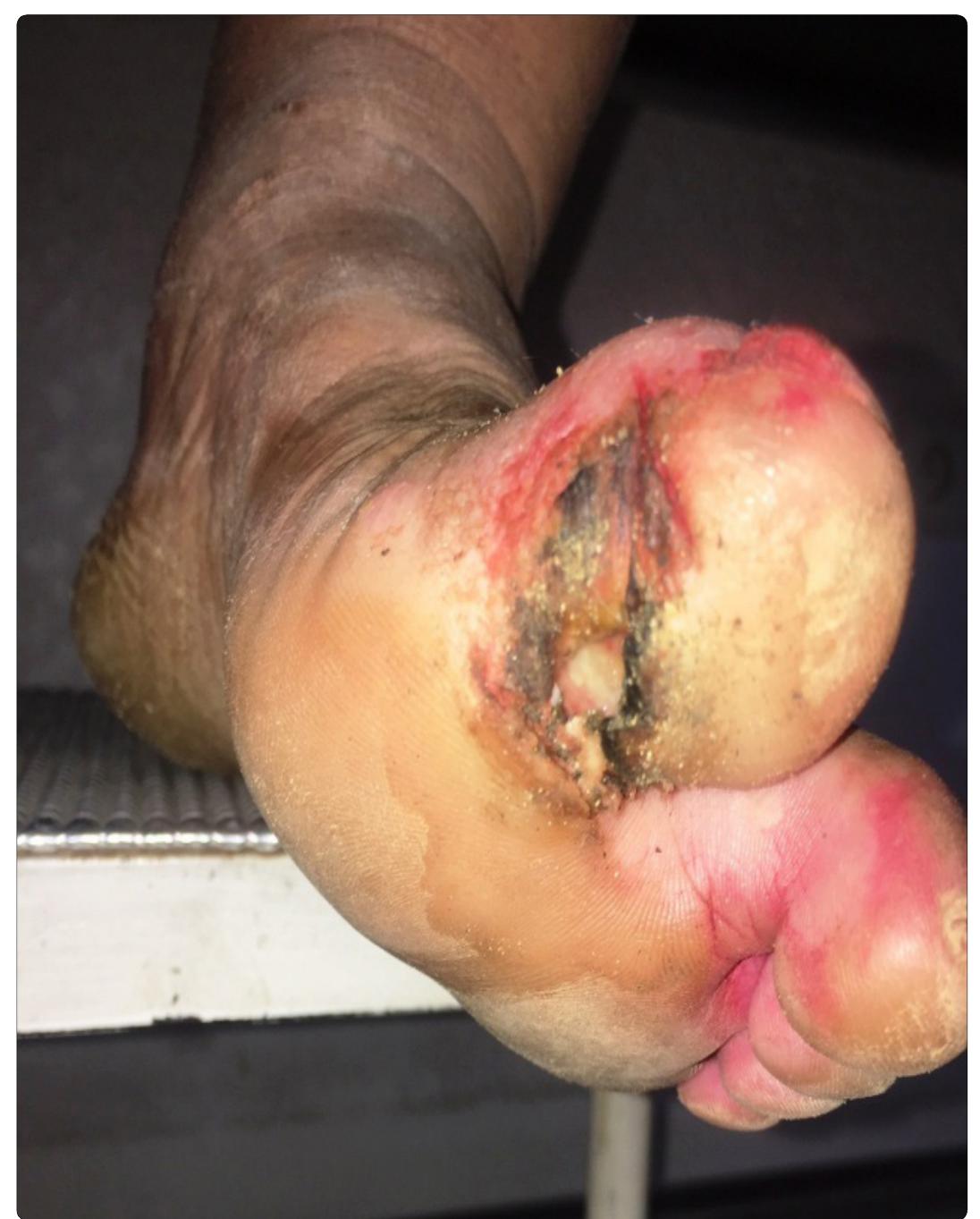 Figure 4 - from Leonine Facies: The Face of a Forgotten