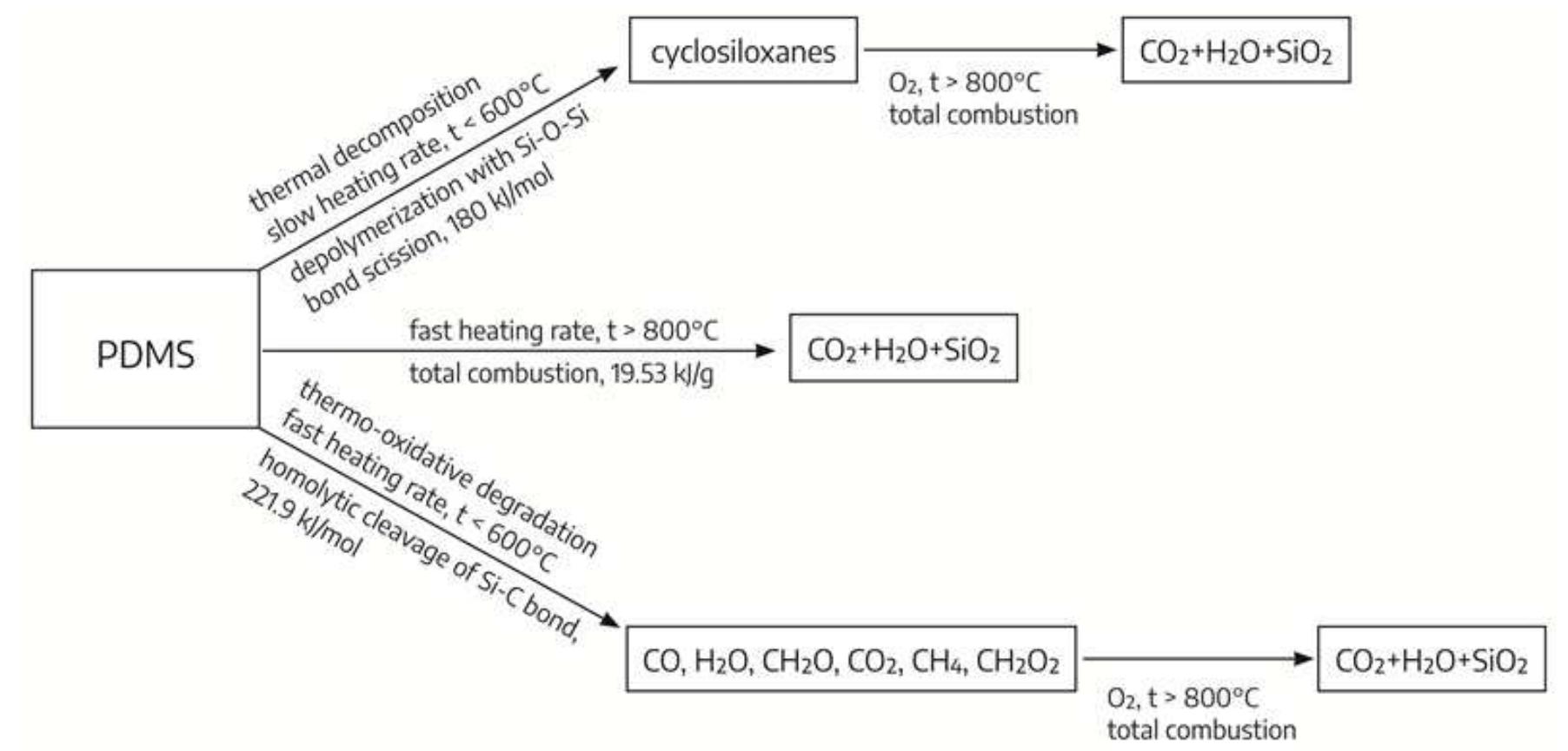 The possible paths of thermal degradation of pdms depending