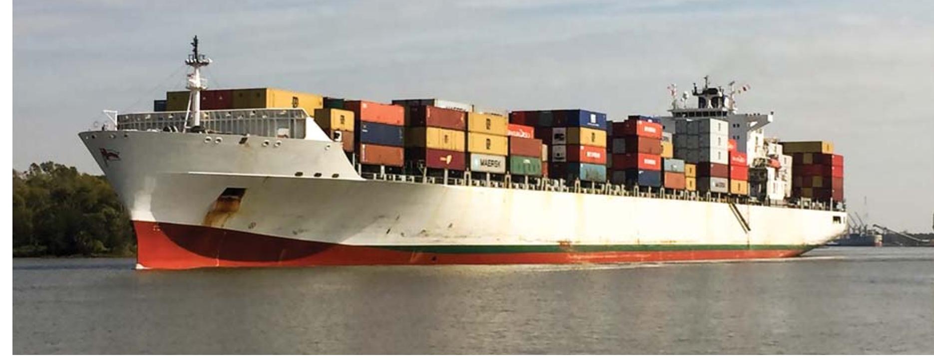 Container ship with cargo and solid wood packaging material