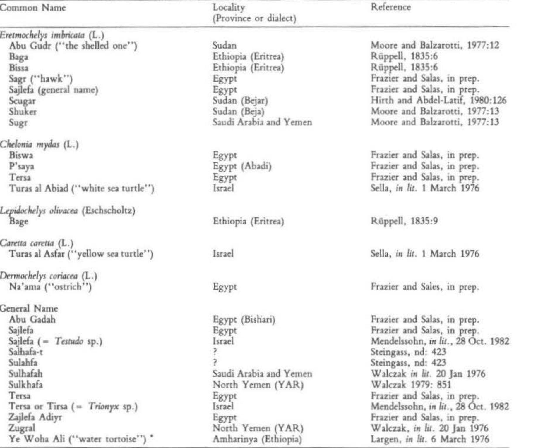 ,1. common names of sea turtles in the red sea. names are