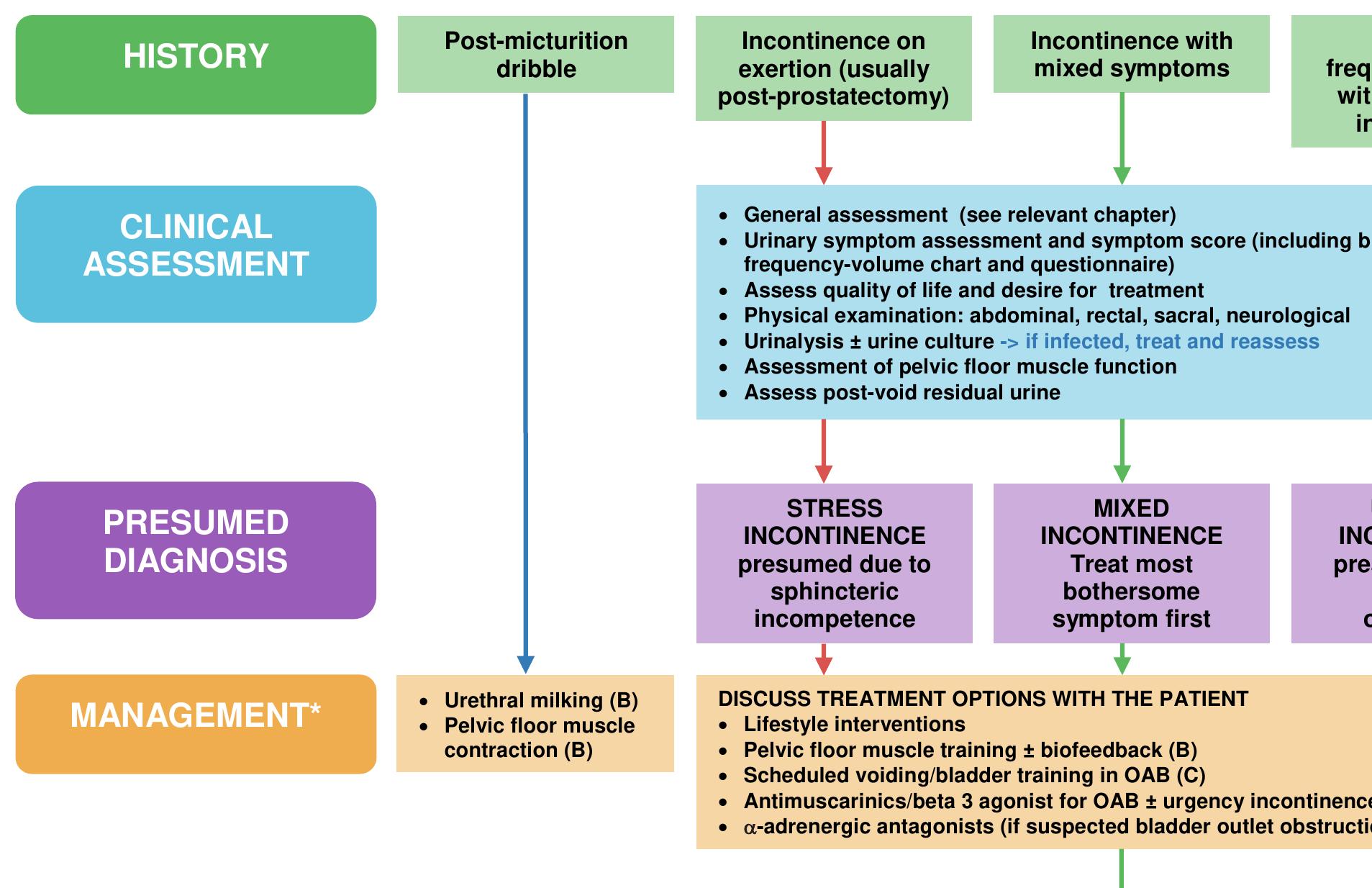 (PDF) 6th International Consultation on Incontinence. Recommendations ...