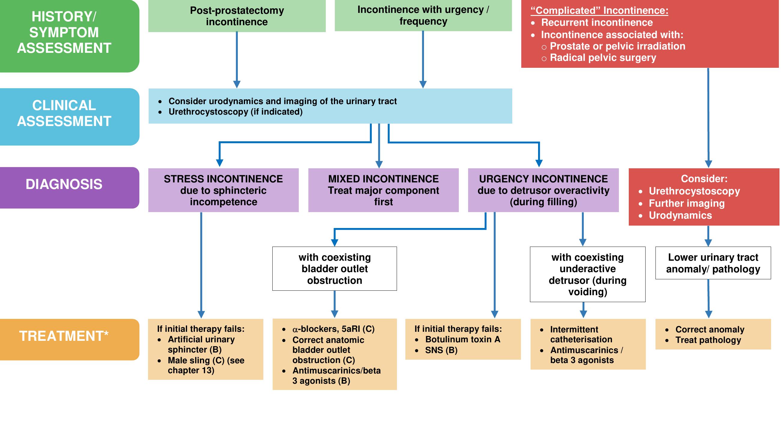 (PDF) 6th International Consultation on Incontinence. Recommendations ...