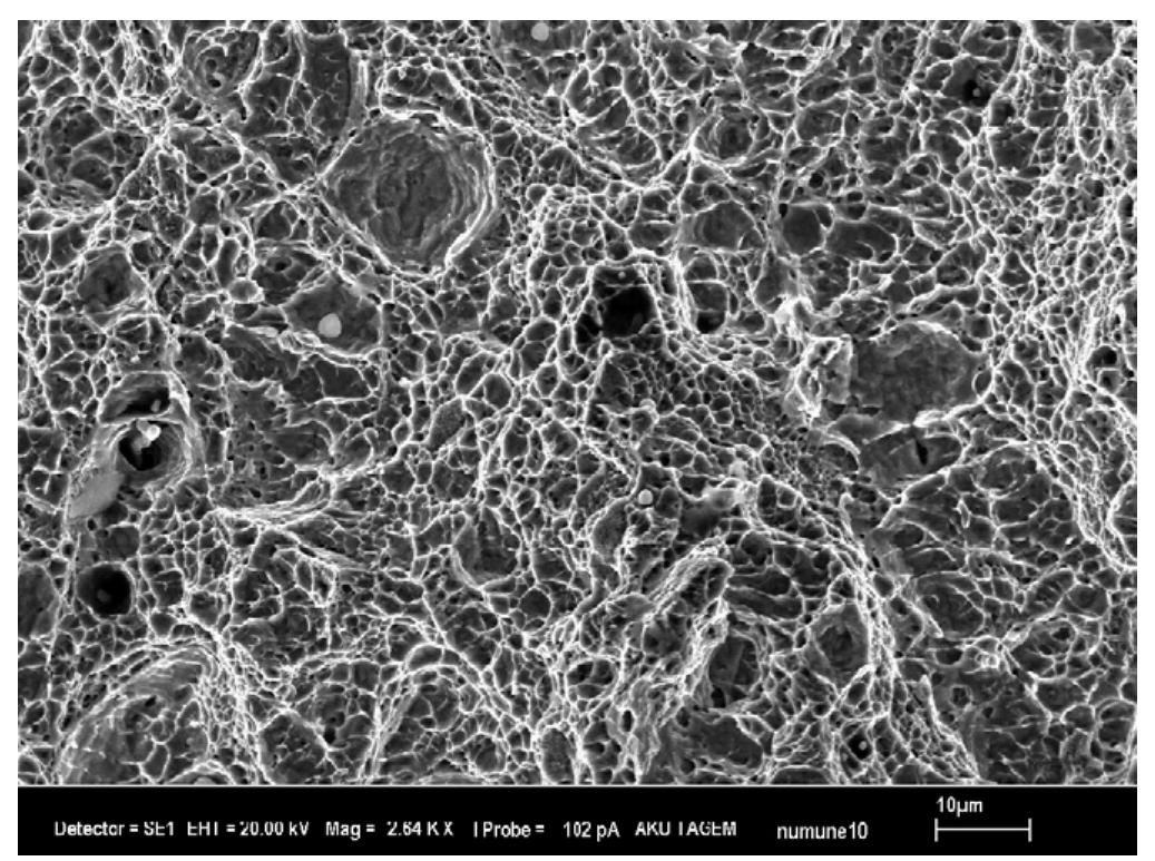 Sem micrograph showing the typical final fracture surfaces