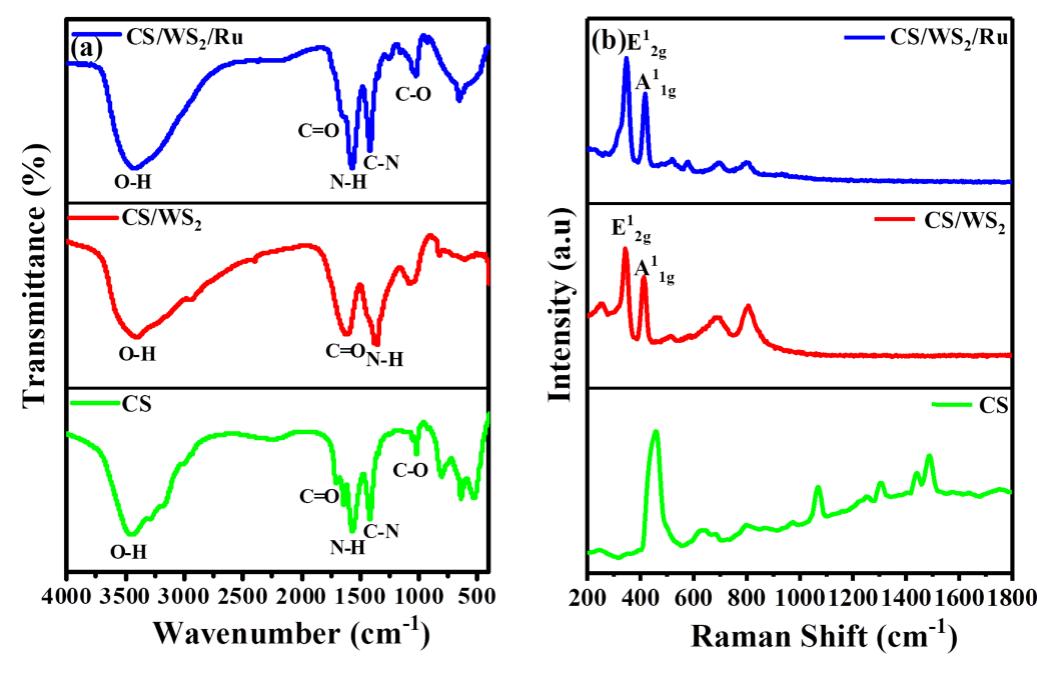 (a) ftir spectra and (b) raman spectra of cs, cs/ws2,