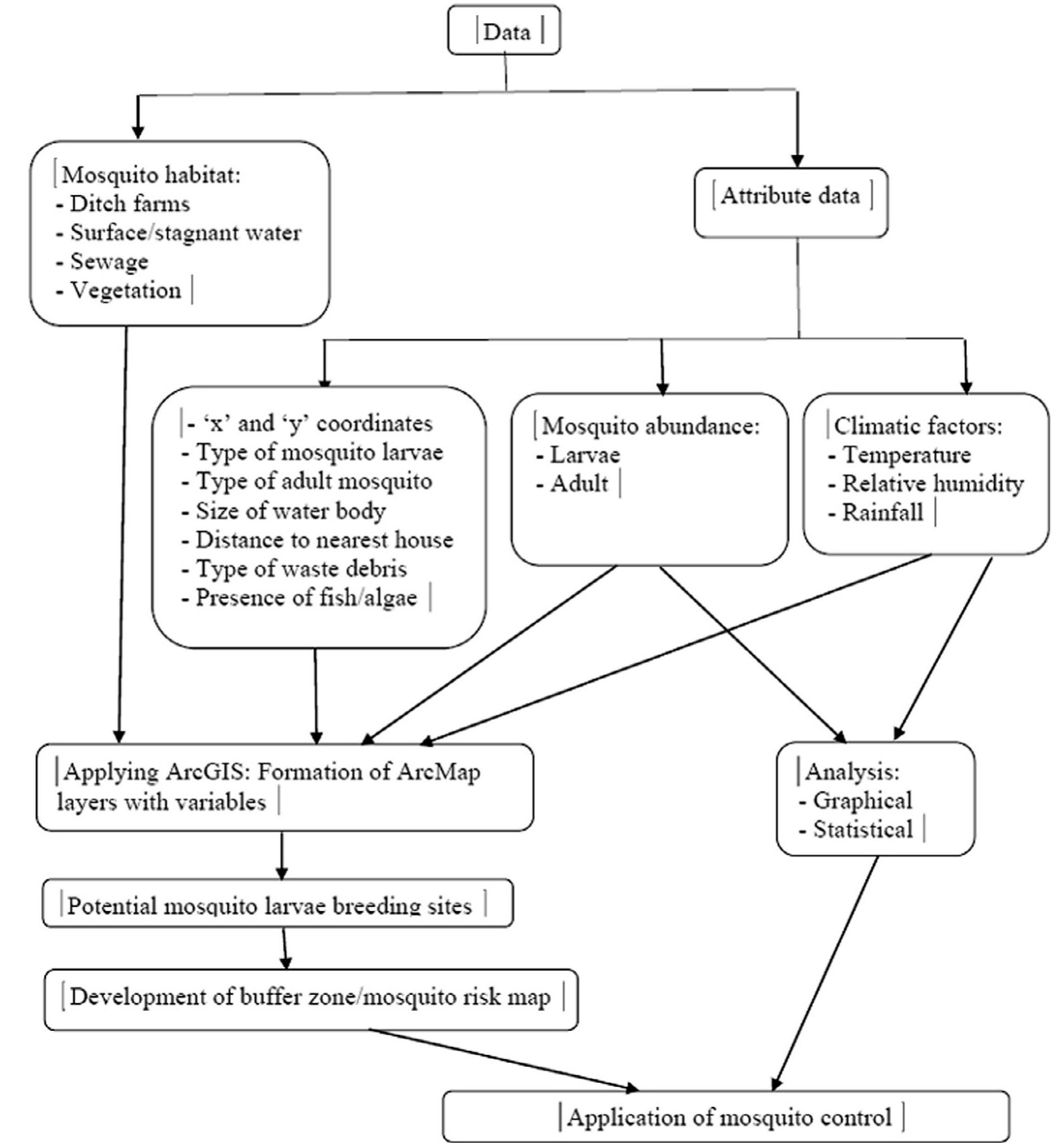 Flowchart demonstrating the main steps of the study
