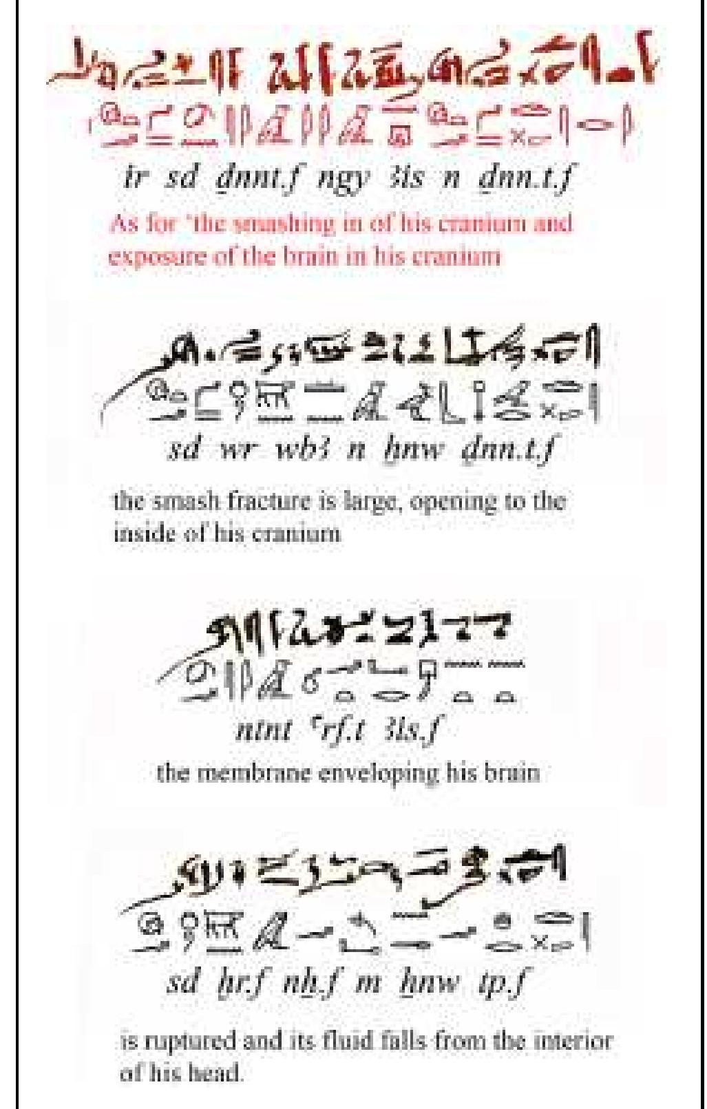 Fic. 5. case 6. definition a refers to the brain, dura, and