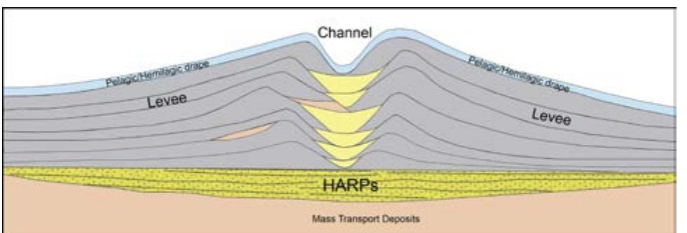 schematic diagram showing architectural elements of a