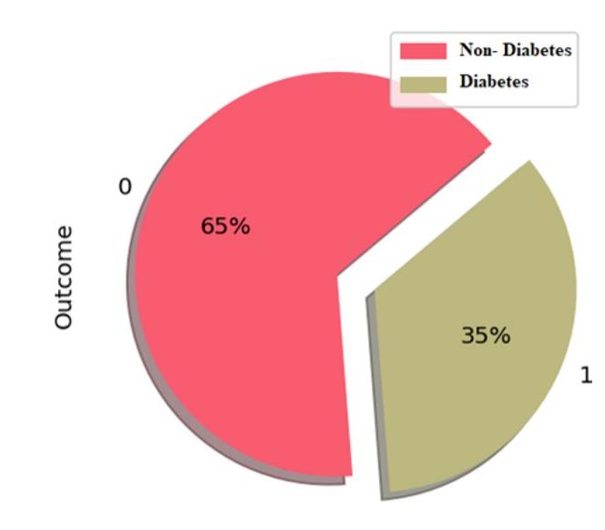 The pie chart representation of dataset