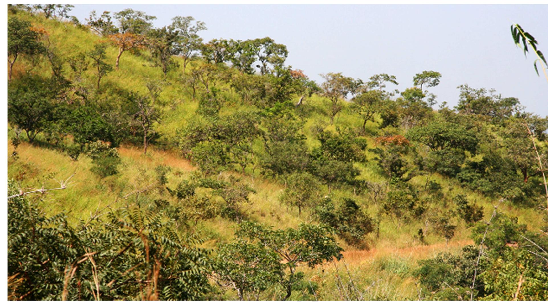 Figure 6 - Ethiopian vegetation types, climate and