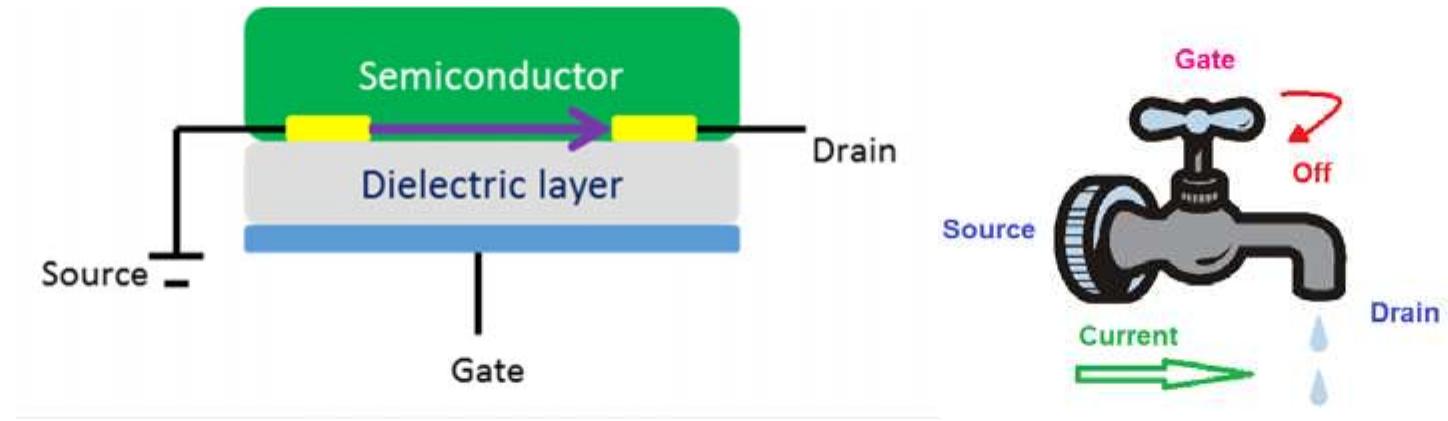 1 a field effect transistor with a structure of bottom gate/