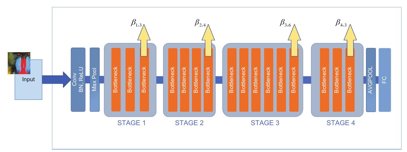 Block structure of the pre-trained 50 layer resnet network