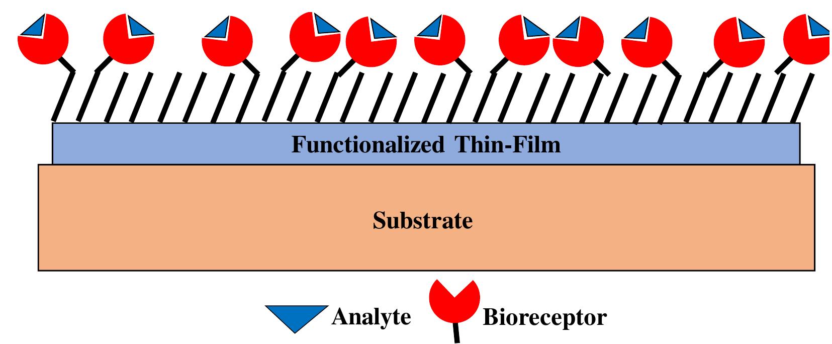 Working principle of thin-film based biosensors. the