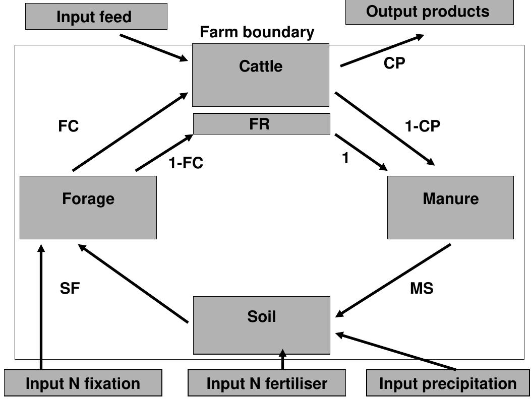 Nitrogen flow diagram of a cattle production system, showing