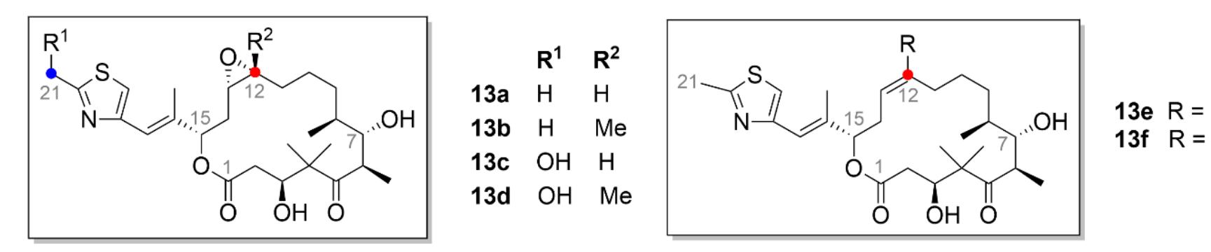 Chemical structures of epothilones. epothilones (figure 14),