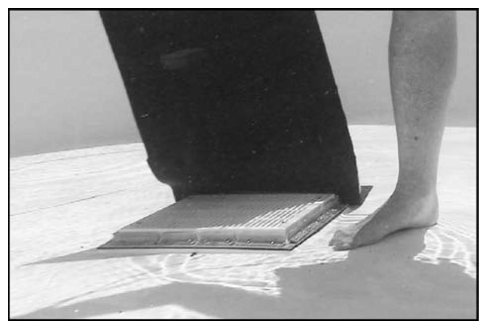 Figure 17 - Dual-Main-Drain Suction-Entrapment Test Report