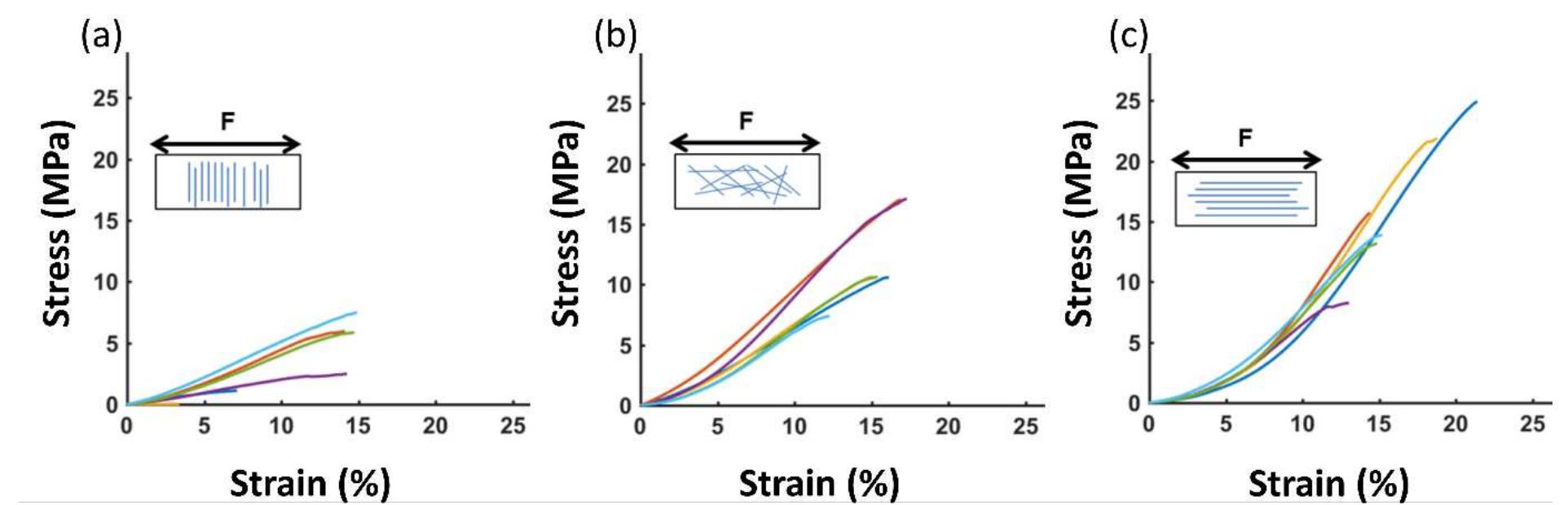 Stress-strain curves for uniaxial tensile loading to