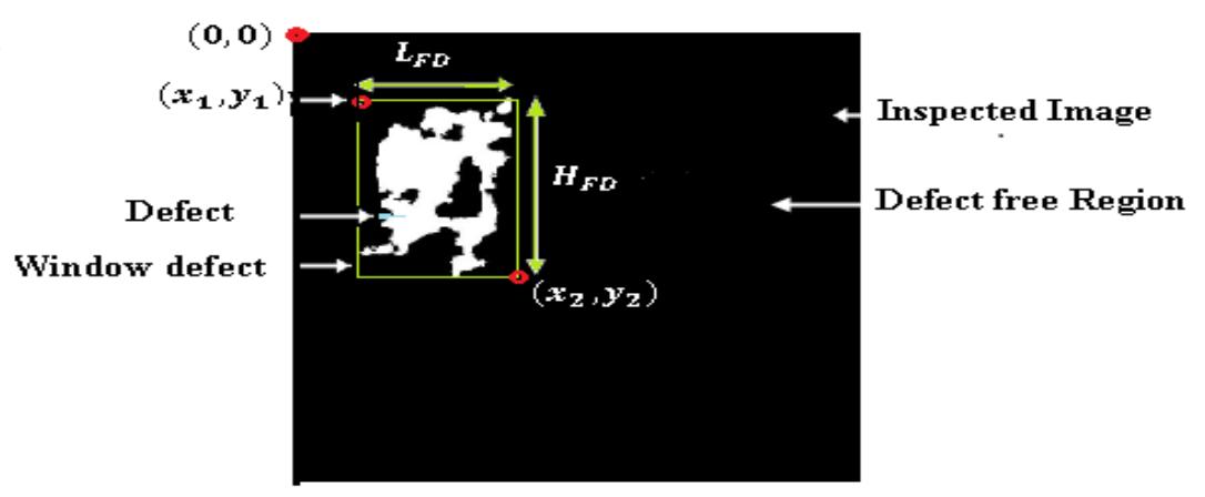 Examples of defect detection and extraction