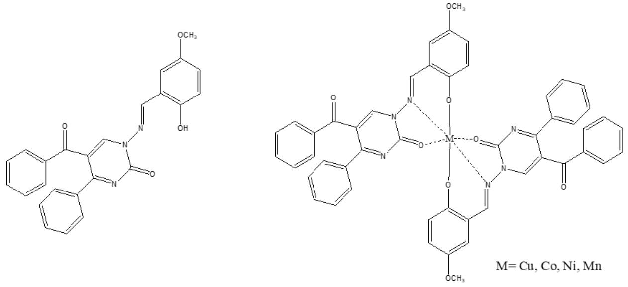Structure of schiff base and its metal complexes.