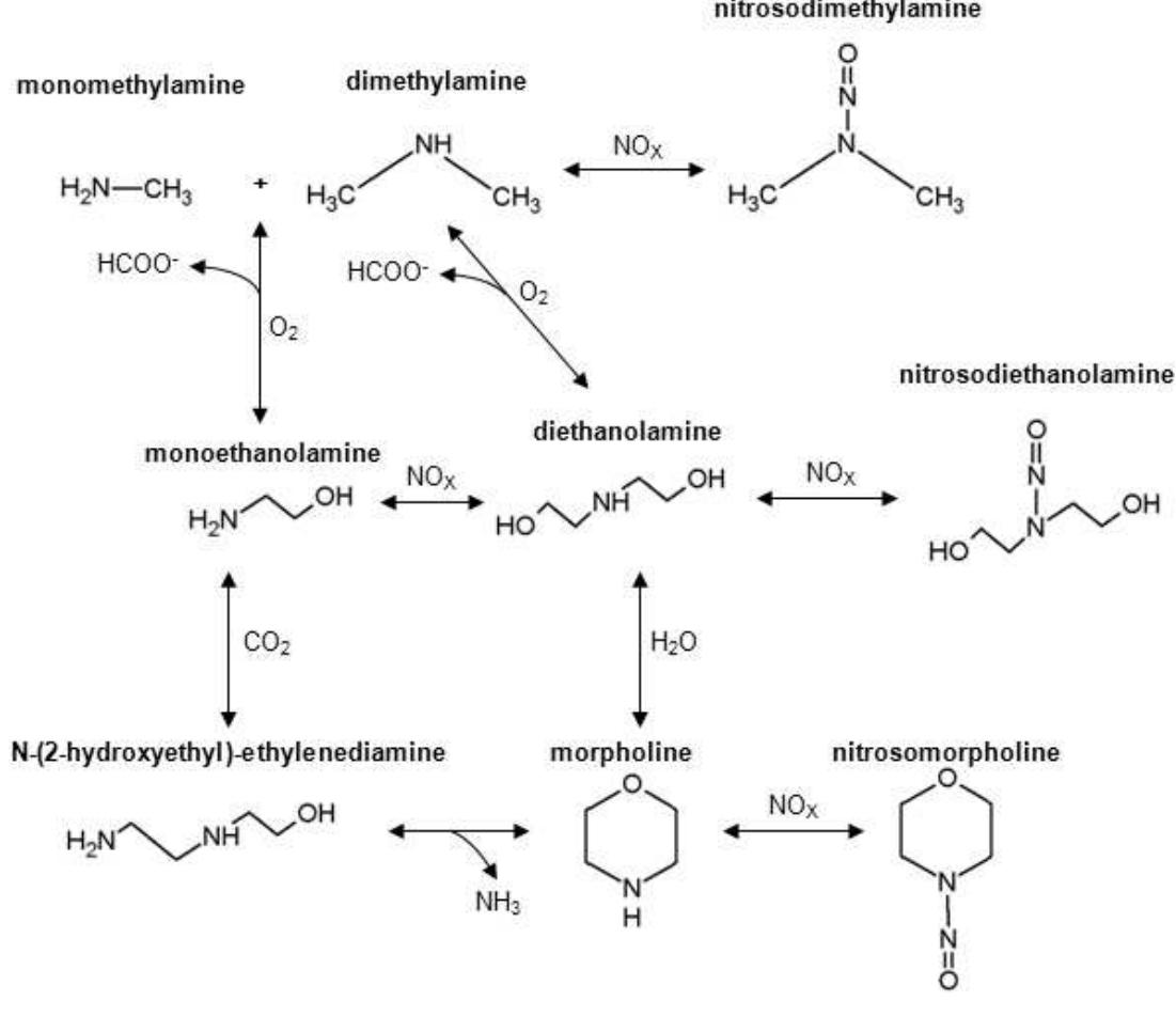Figure 6 - from Degradation of amine-based solvents in CO 2