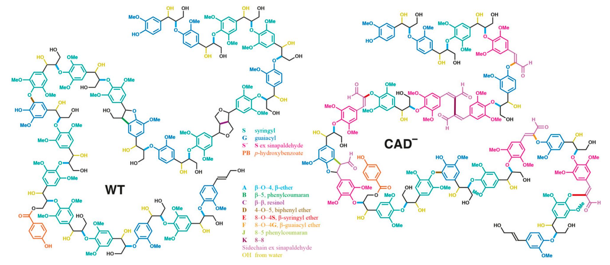 Models based on nmr. models conforming with the available