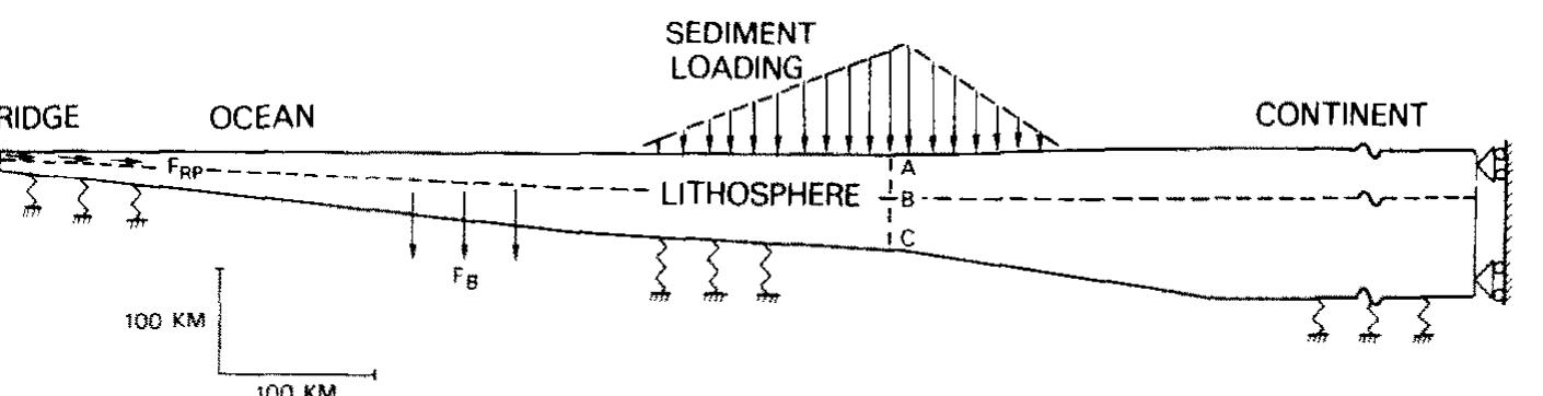 Model features: geometry, rheology, system of forces and