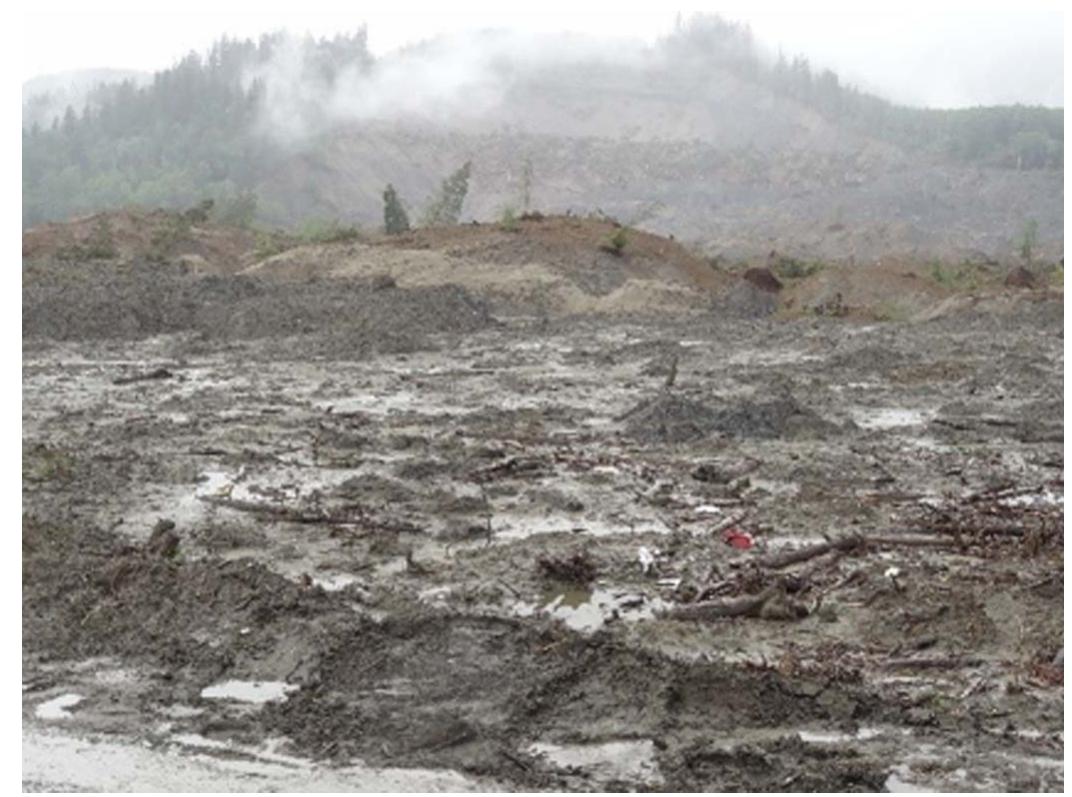 View of colluvial flow slide from sr530 with some tress