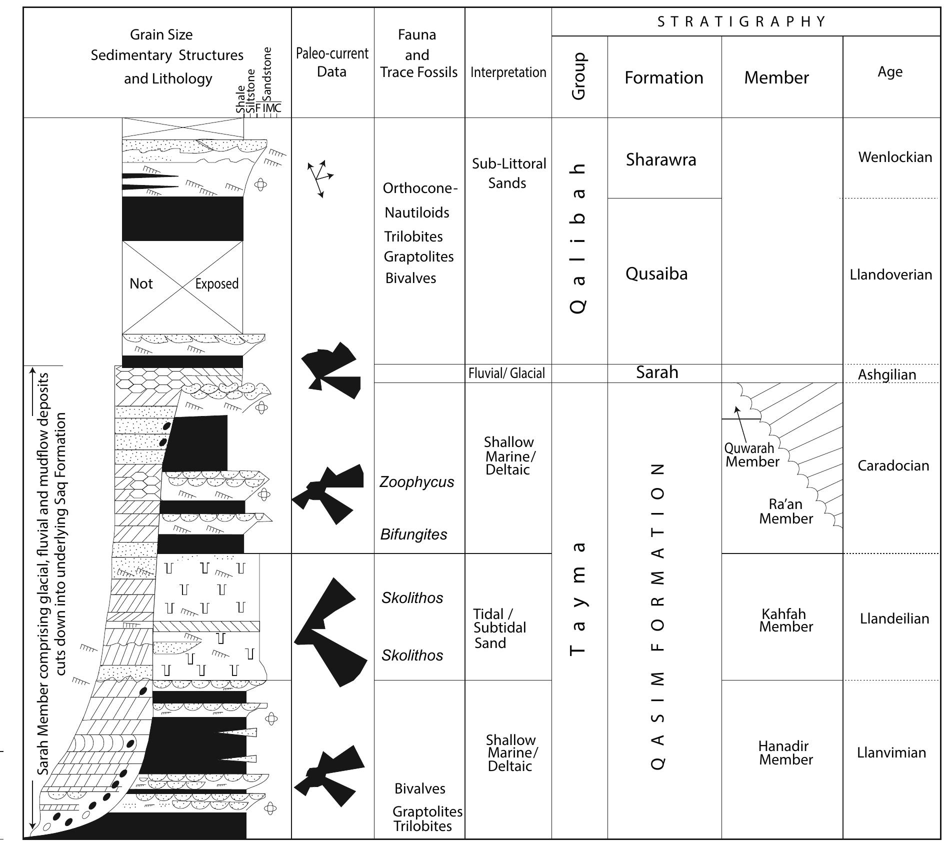 Lithostratigraphy, sedimentary structures and interpreted
