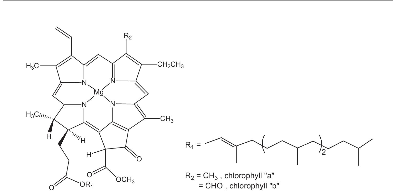 Chemical structures of chlorophyll a and b. 3.1.2.