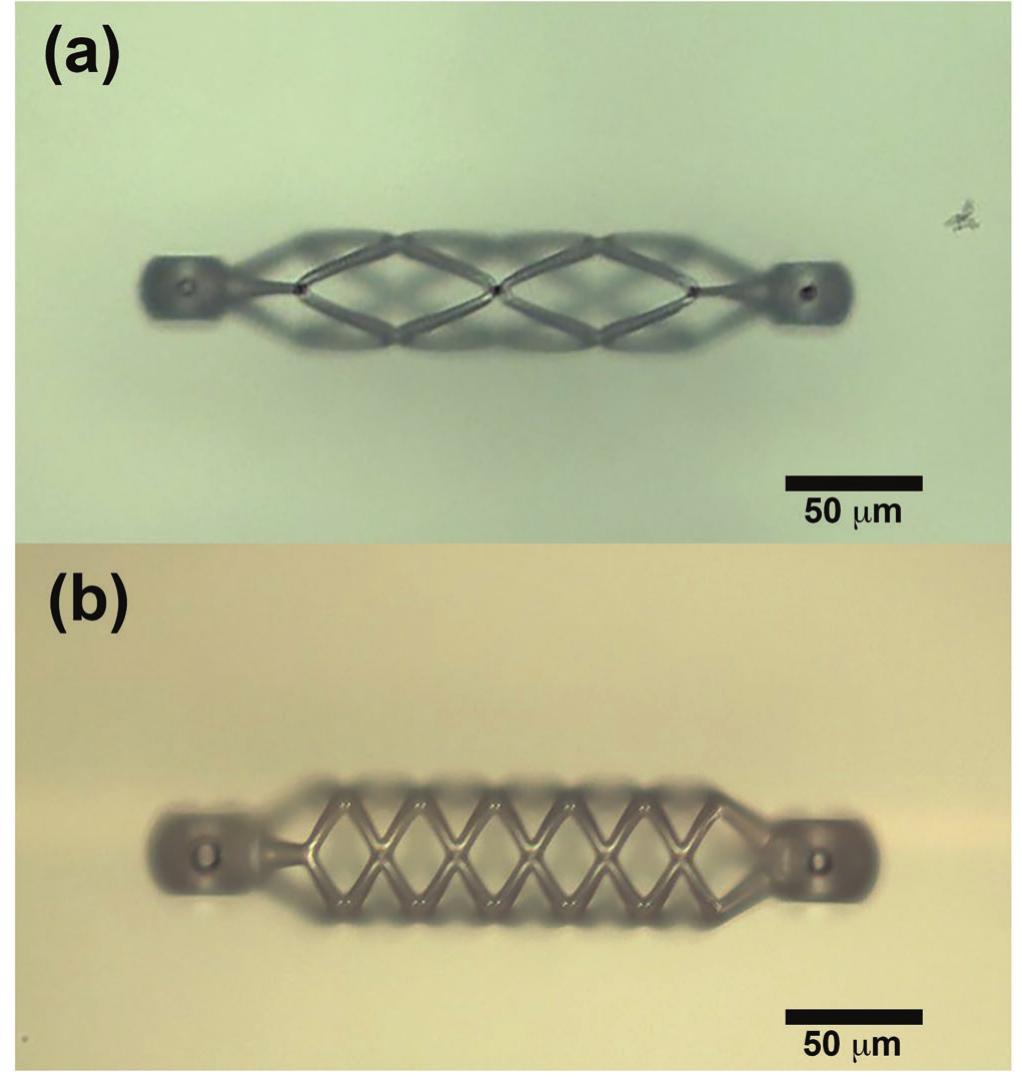 Empty sacrificial templates of stent-like shapes with an