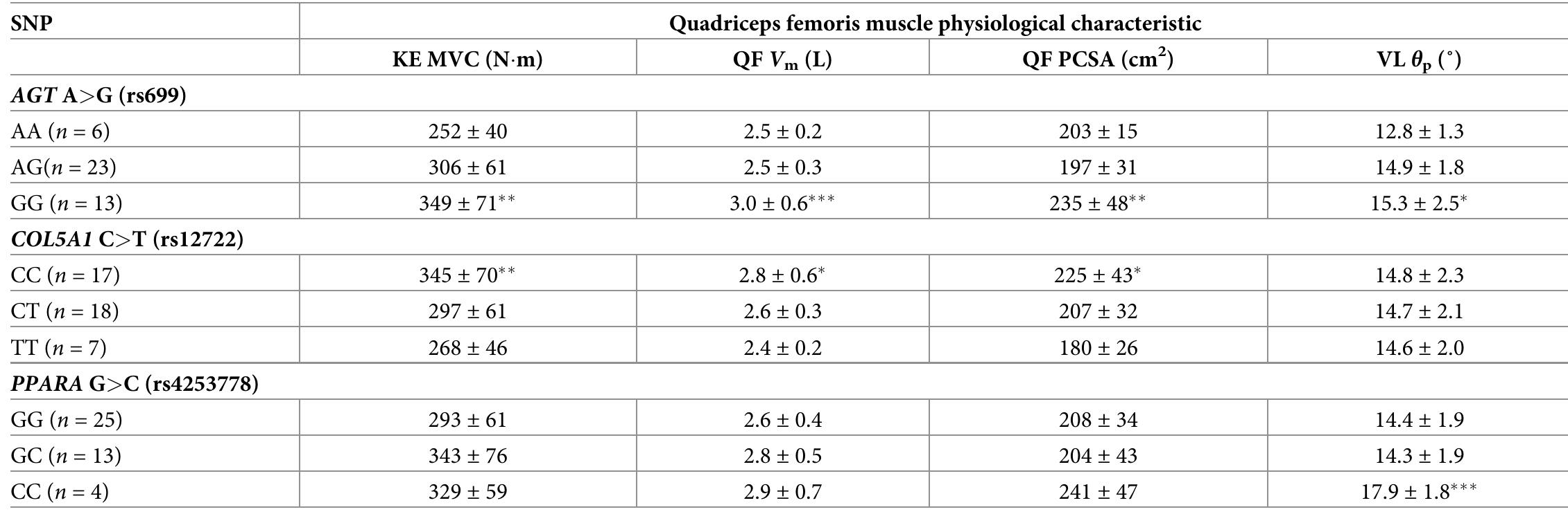 Quadriceps femoris muscle strength, size and architecture in