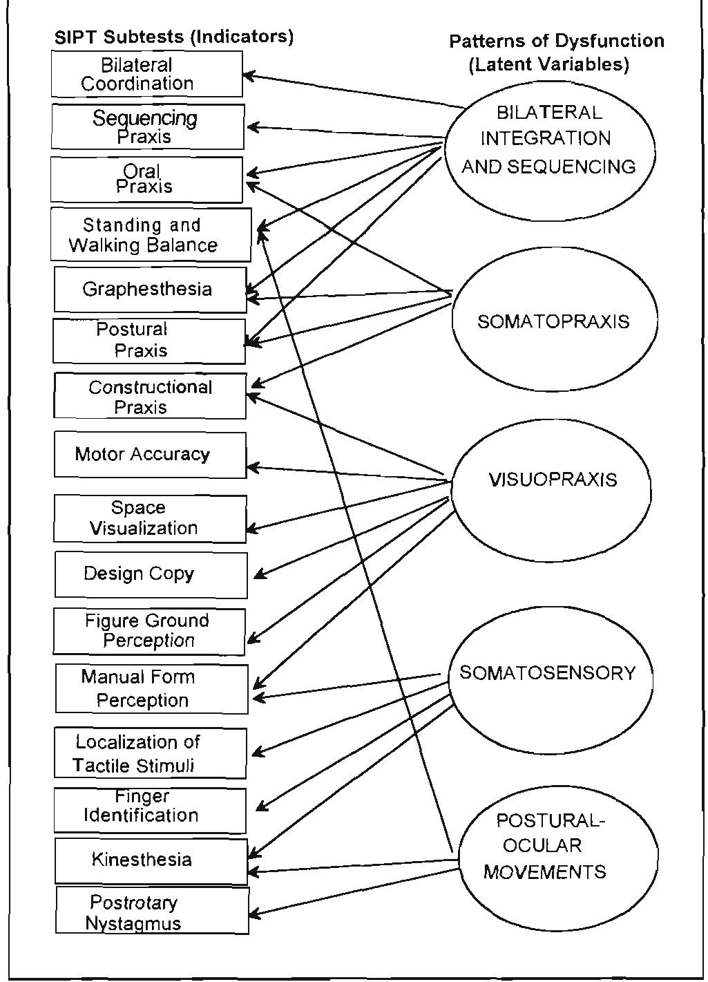 Hypothesized model of sensory integration dysfunc- tion.