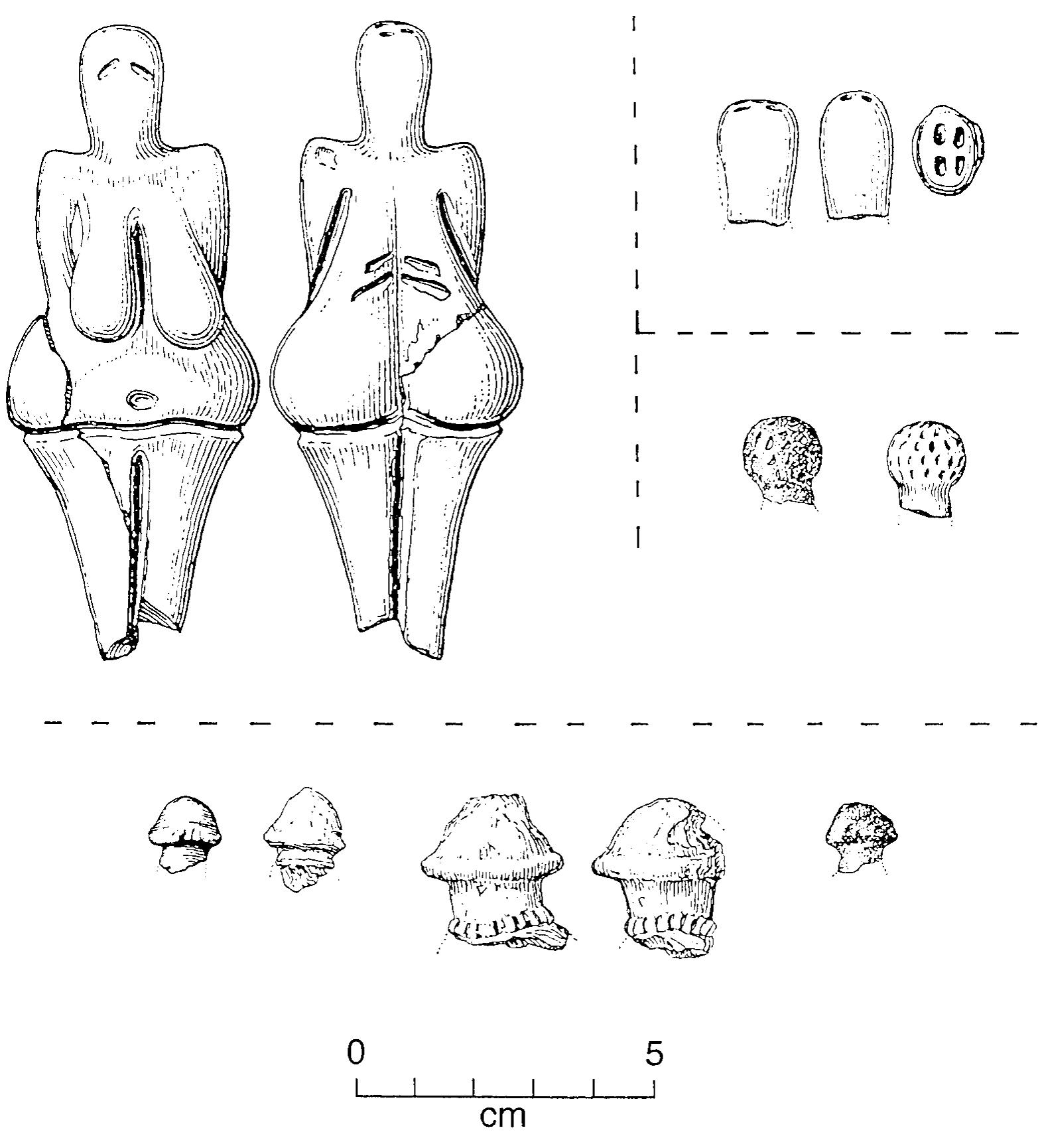 Fic. 3. a selection of the different types of female heads