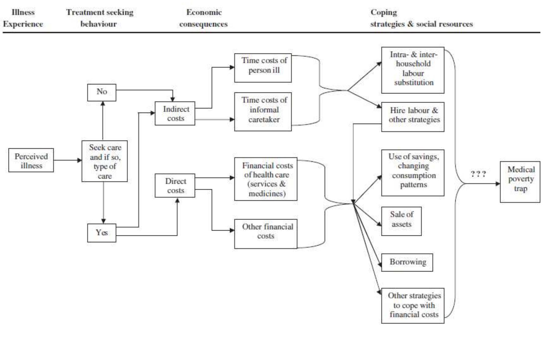 1. flow chart of key issues in economic consequences of