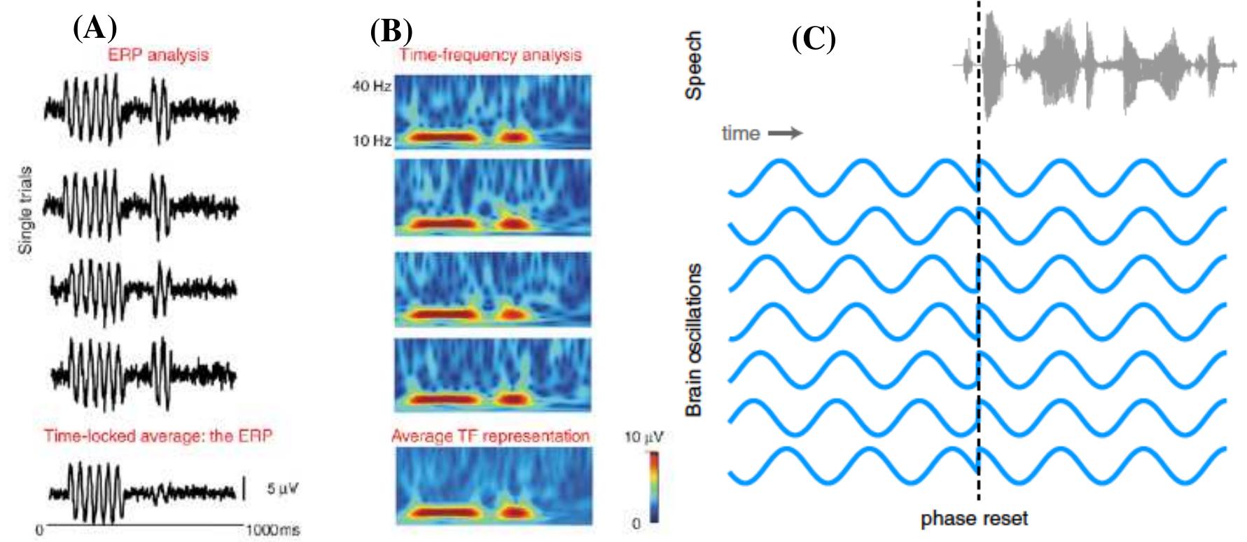 Simulated Eeg Data Illustrating The Difference Between