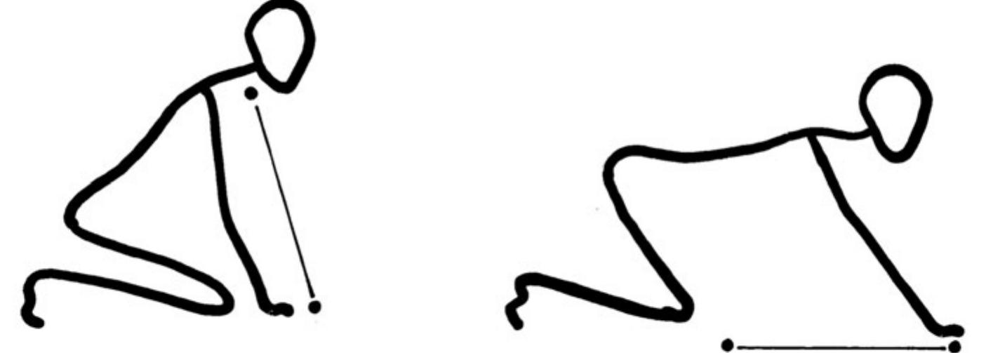 Inferred all-fours posture and range of movement required to