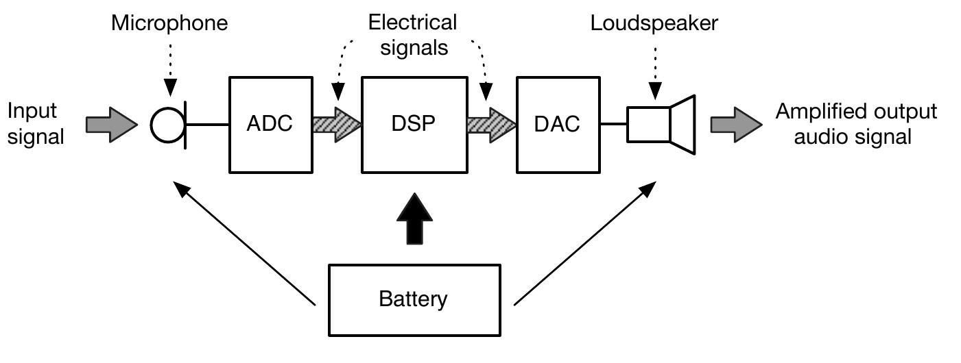11: a simplified diagram of the structure of a typical