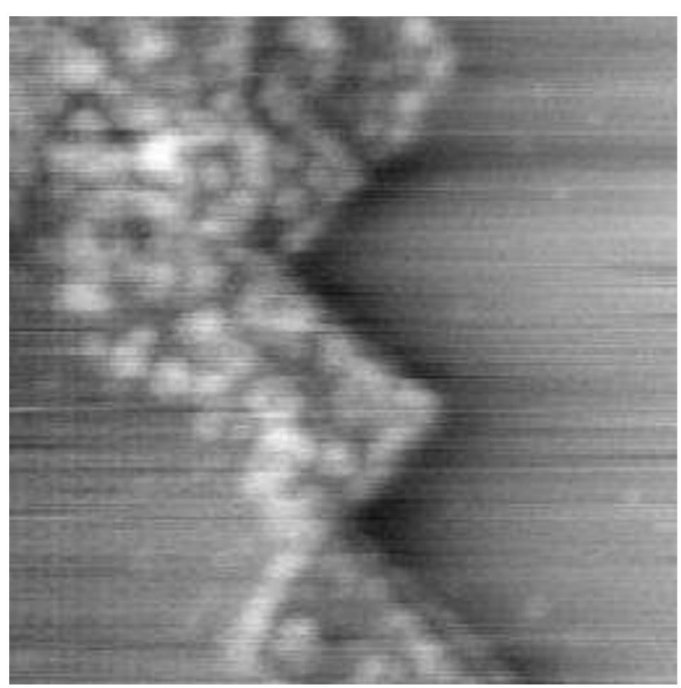 Non-contact afm image of a cleavage face of kcl (001) with