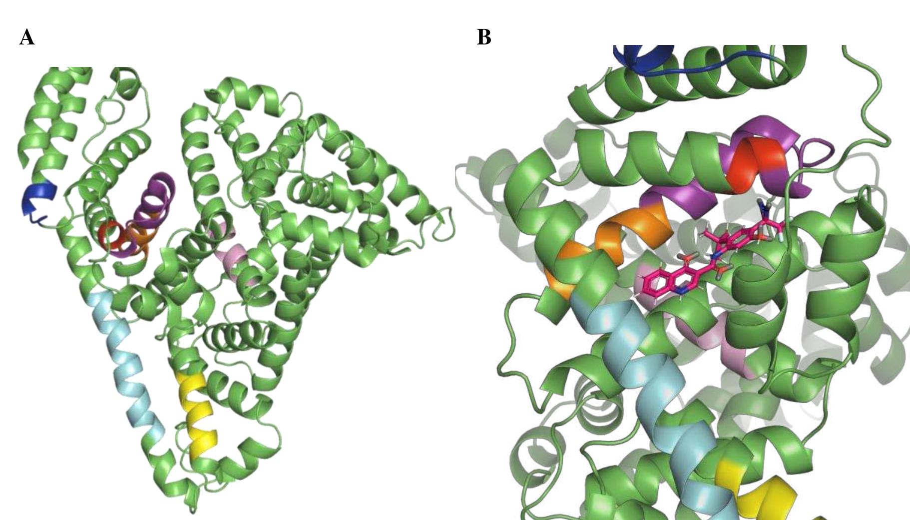 Figure 7 - Wayfinding and orientation: cognitive aspects of