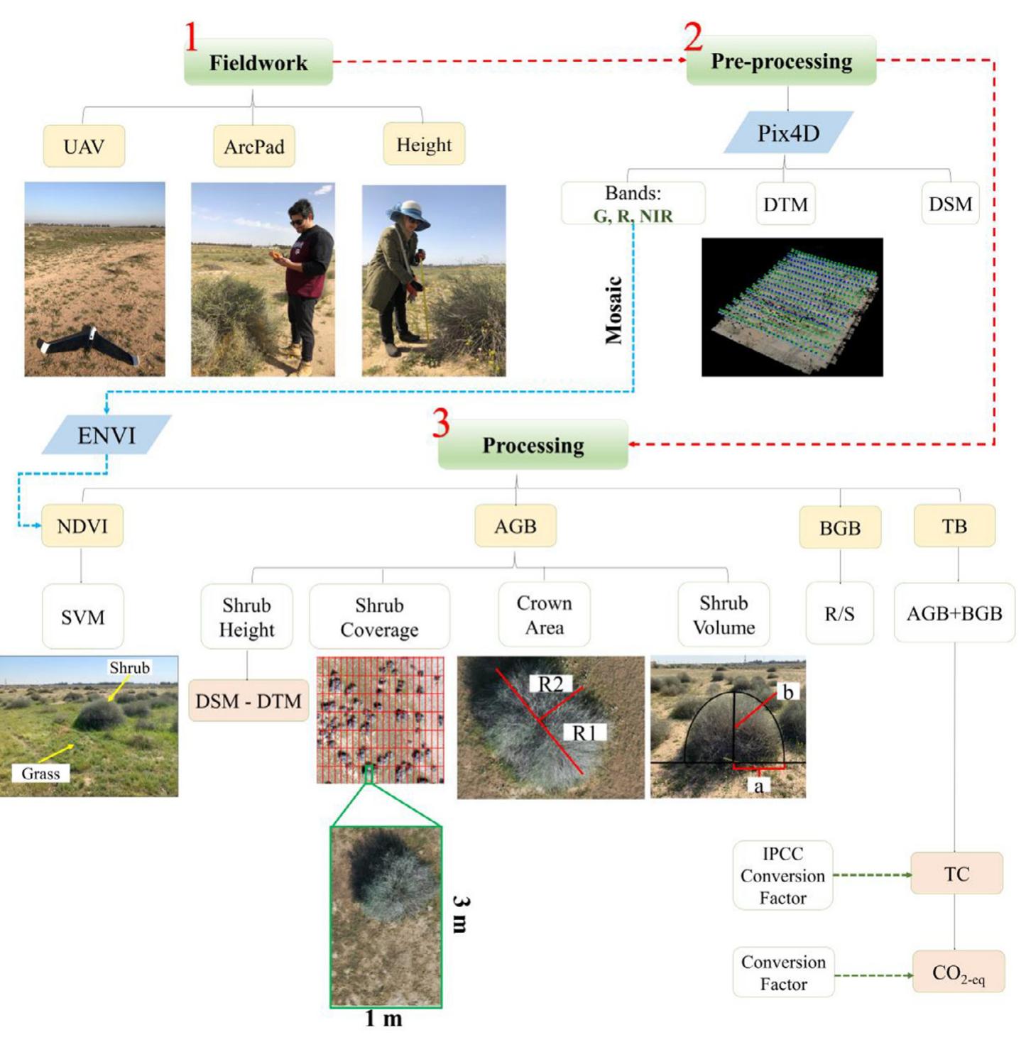 Schematic flowchart for main stages of estimating biomass